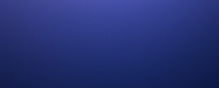 Projector lamp for Sony LMP-H160,okinlamps